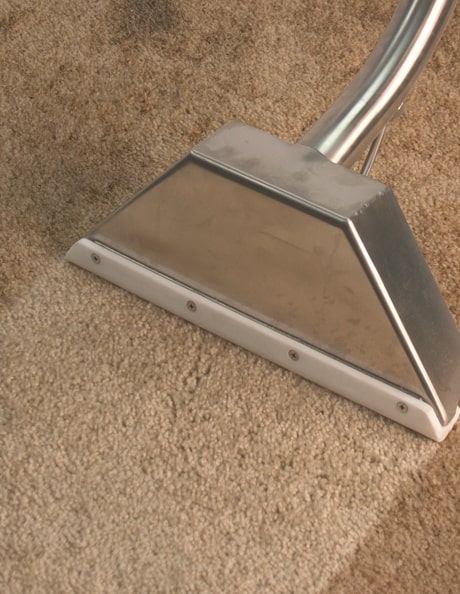 Legend Brands | Cleaning/Restoration